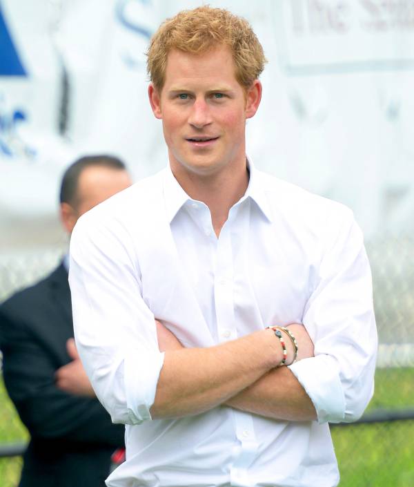 Prince Harry Helps Move Hundreds of Elephants: Pics | Us Weekly