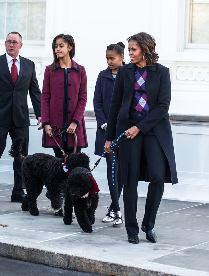 Hollywood's Most Beloved Pets