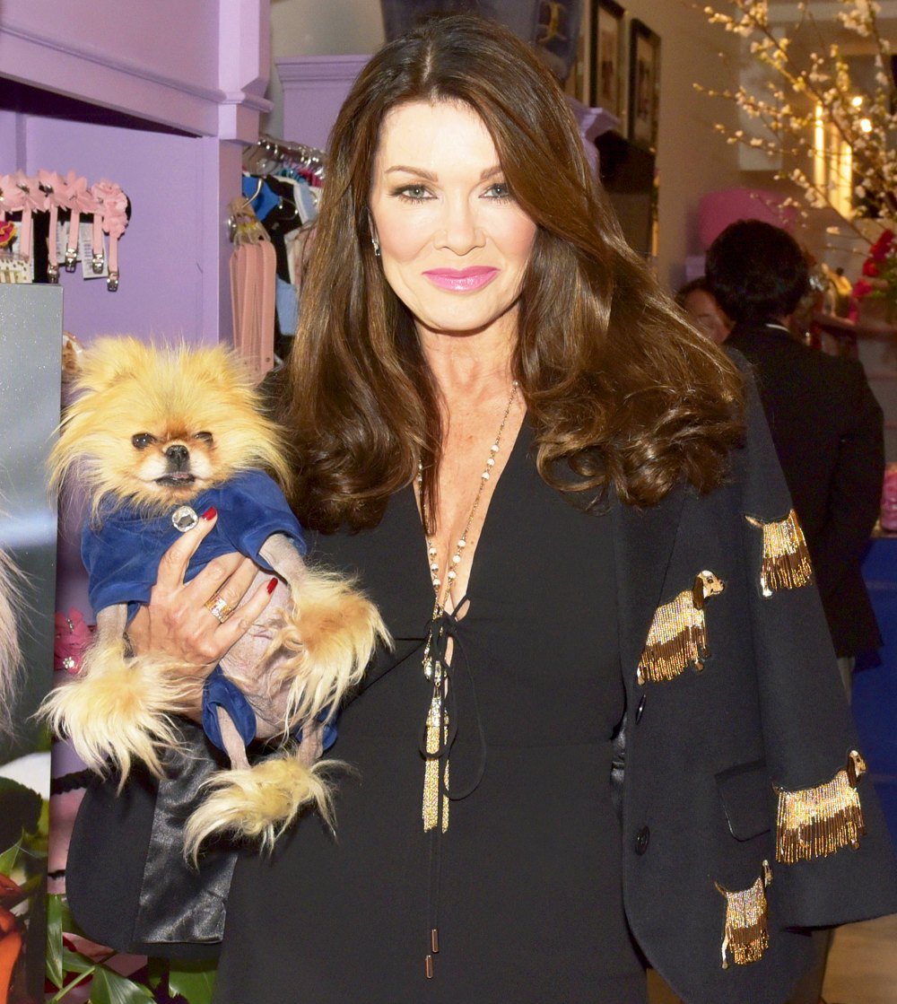 Lisa Vanderpump Is Looking for Homes for Two Rescue Dogs