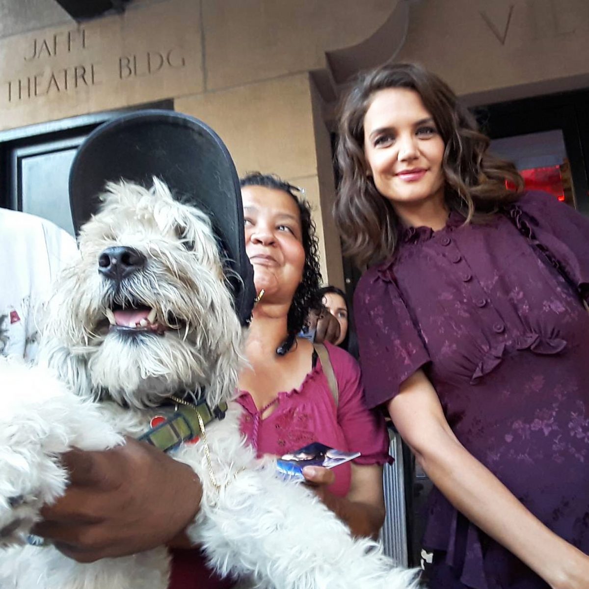 Meet Coqui, the Celebrity Selfie Dog With 10k Instagram Followers: Pics ...