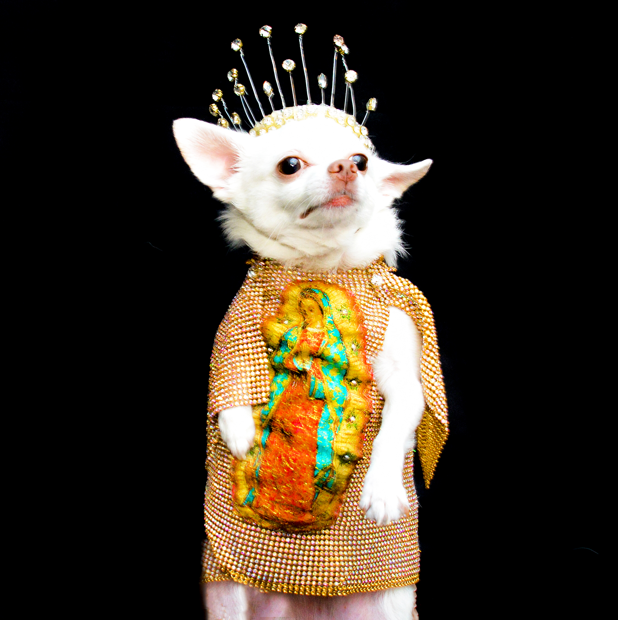 Dogs Pose in Fashion Re-Creations From Met Gala 2018: Pics | Us Weekly
