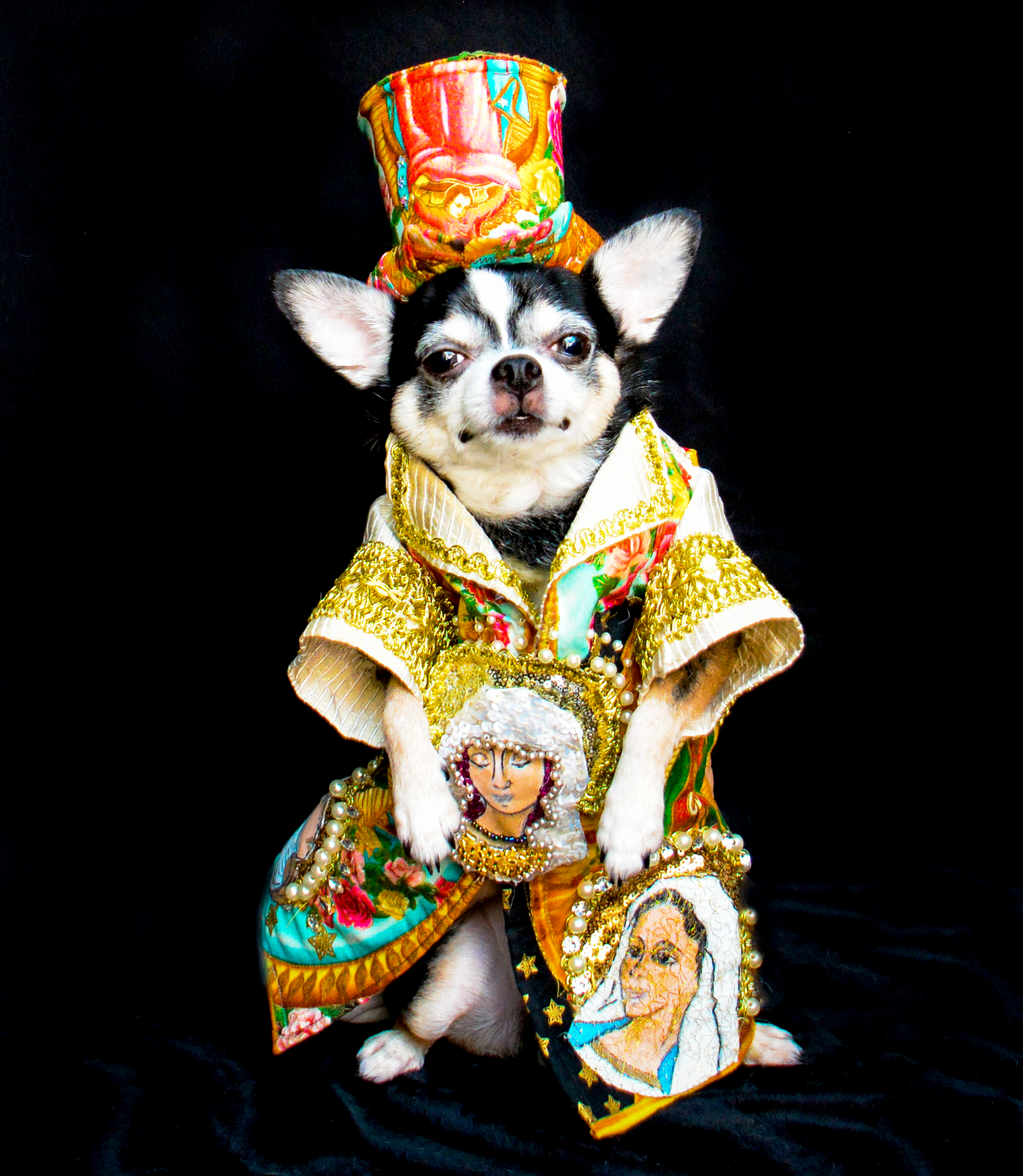 Dogs Pose in Fashion Re-Creations From Met Gala 2018: Pics | Us Weekly