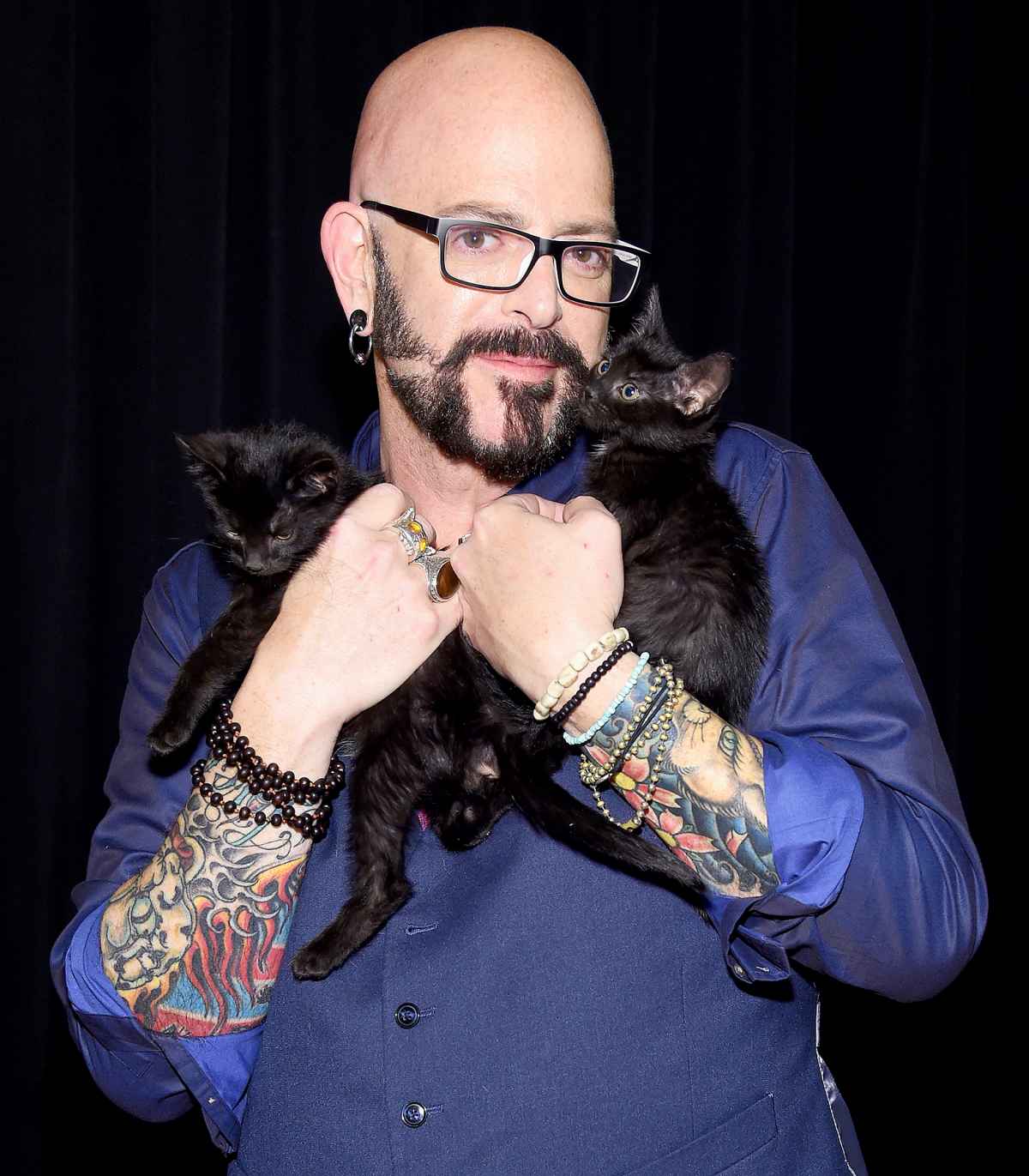 Jackson Galaxy’s Advice for Introducing Cats and Dogs | Us Weekly