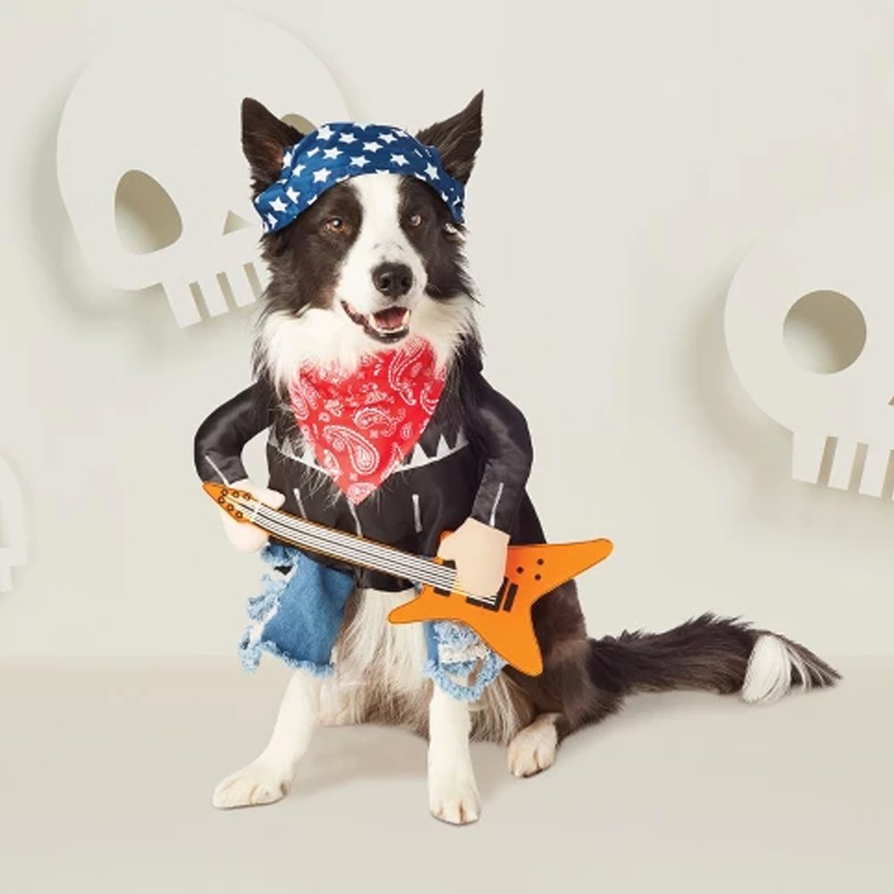 10 Must-Have Pet Halloween Costumes That Will Get All the Giggles | Us ...