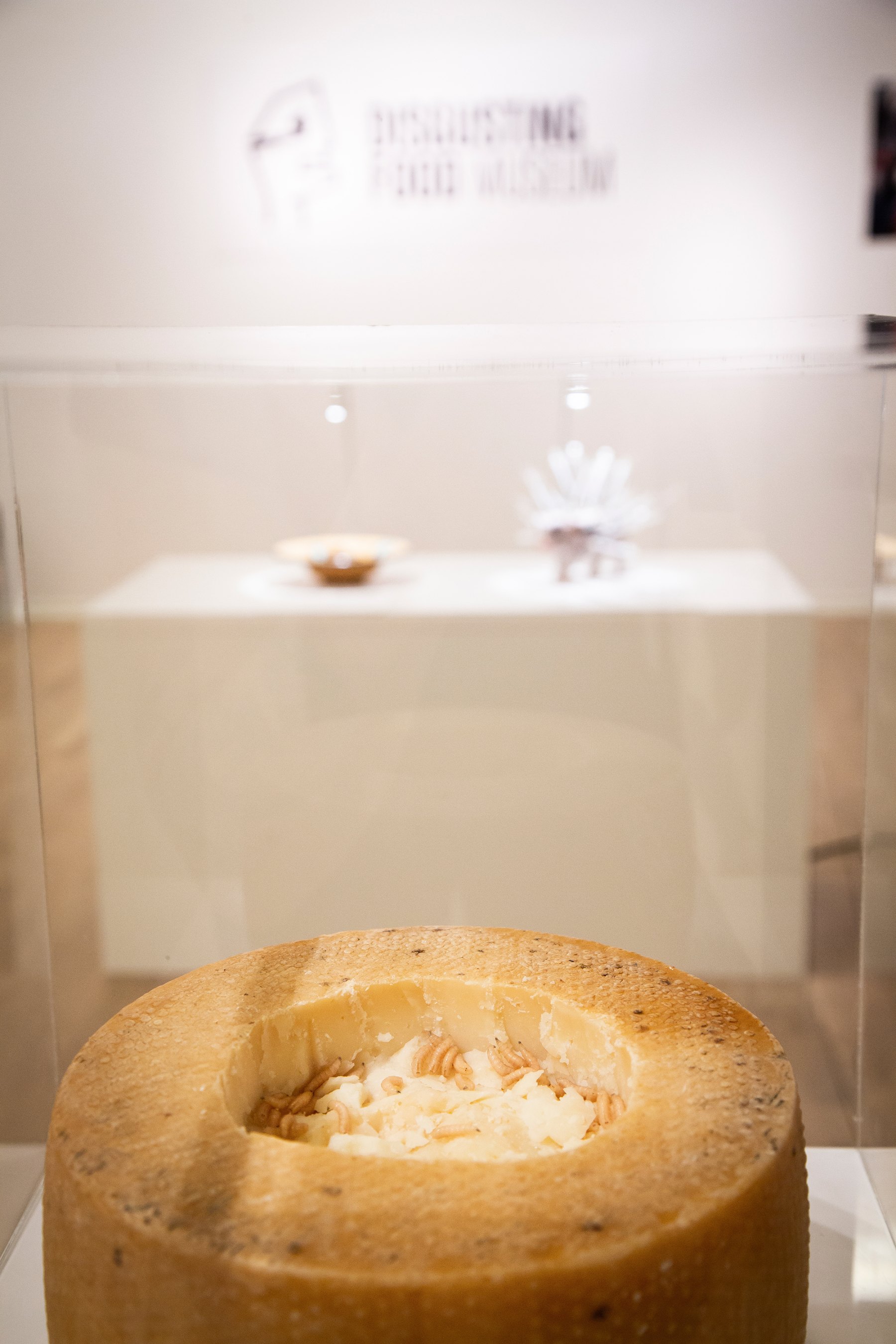 Sweden's Disgusting Food Museum Lives up to Its Name | Us Weekly