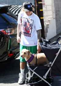 Justin Bieber Poses With Two Adorable Dogs in a Baby Stroller | Us Weekly