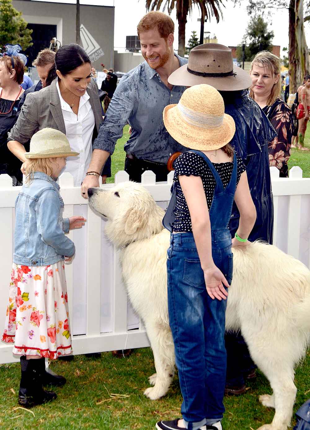 Prince Harry Plays With Dogs in Australia: Pics | Us Weekly