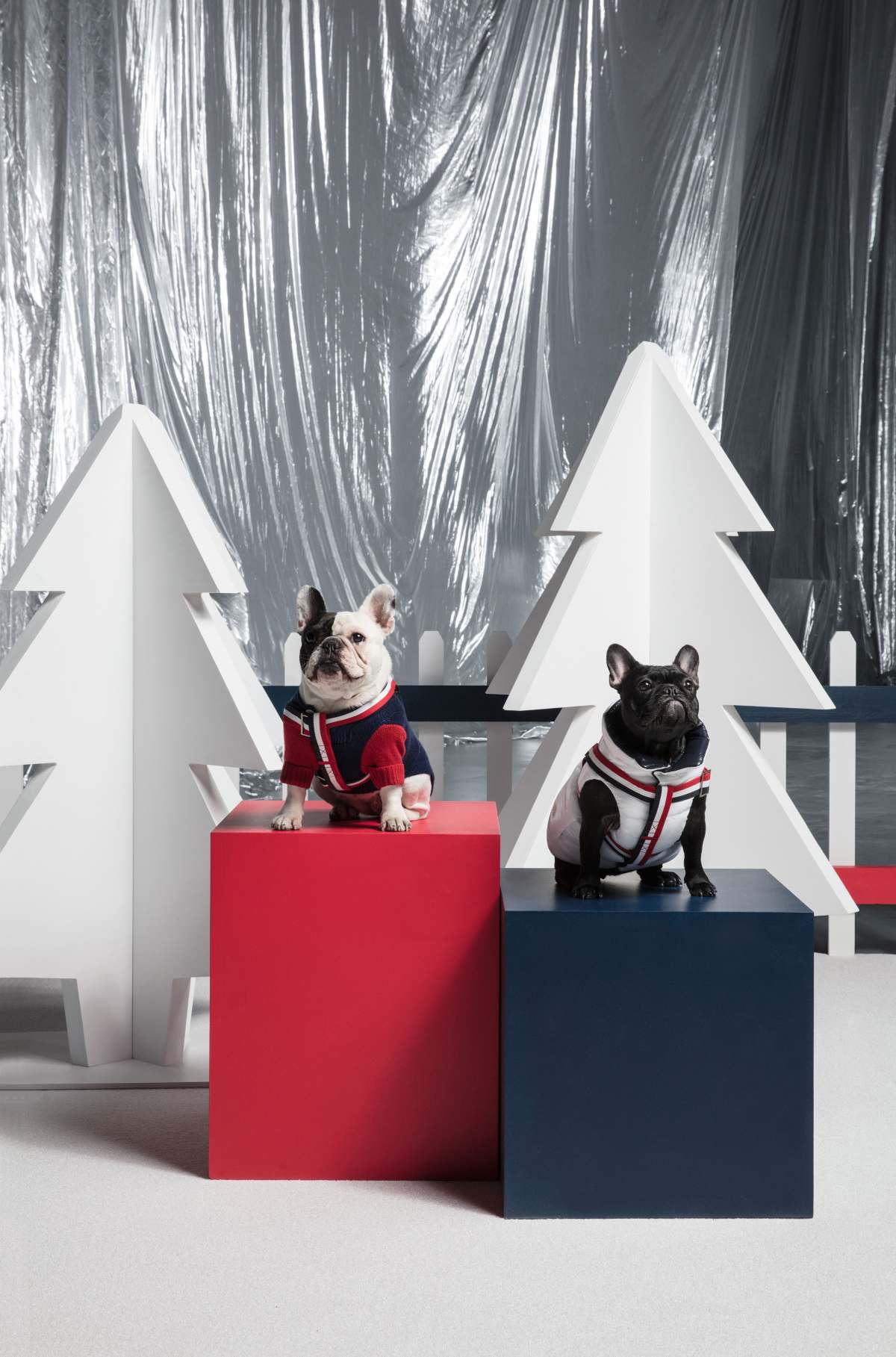 Moncler Poldo Dog Couture Coats, Leashes Collection: Details | Us Weekly