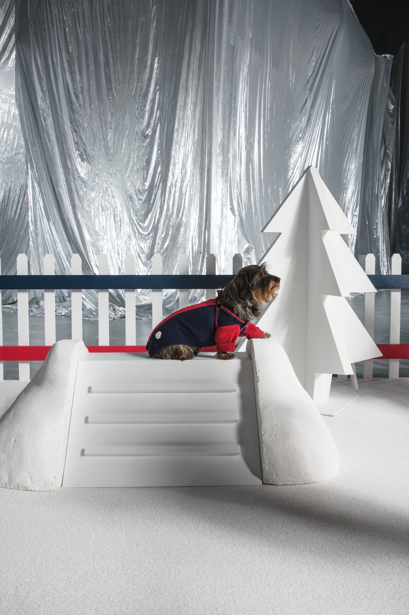 Moncler Poldo Dog Couture Coats, Leashes Collection: Details | Us Weekly
