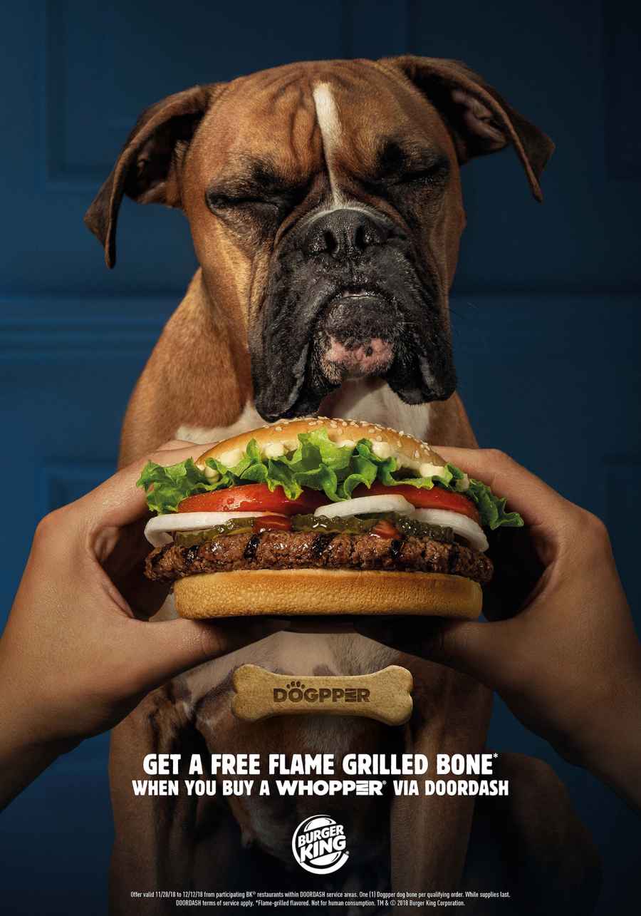 Burger King’s Dogpper Is a Whopper for Dogs | Us Weekly