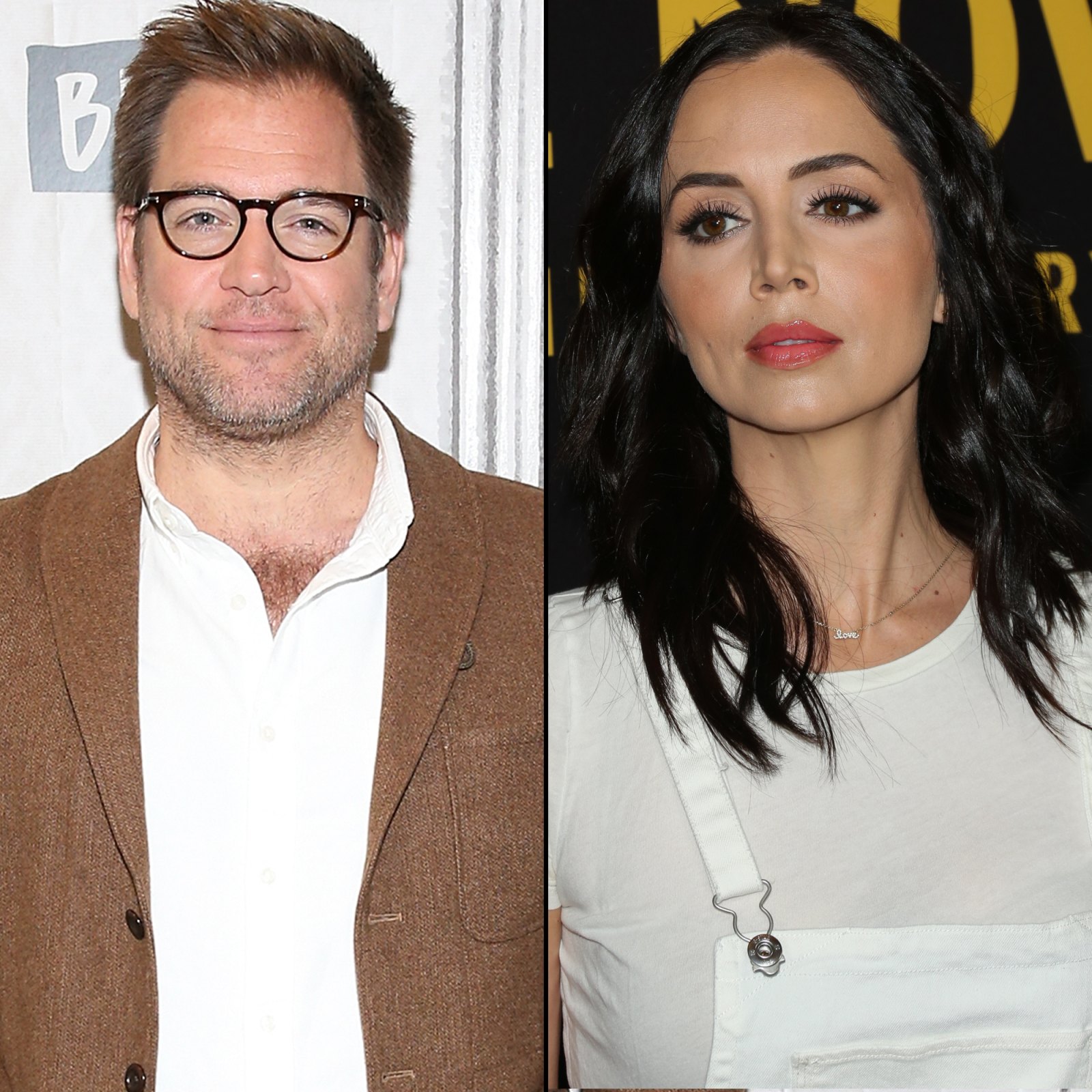 Michael Weatherly News - Us Weekly