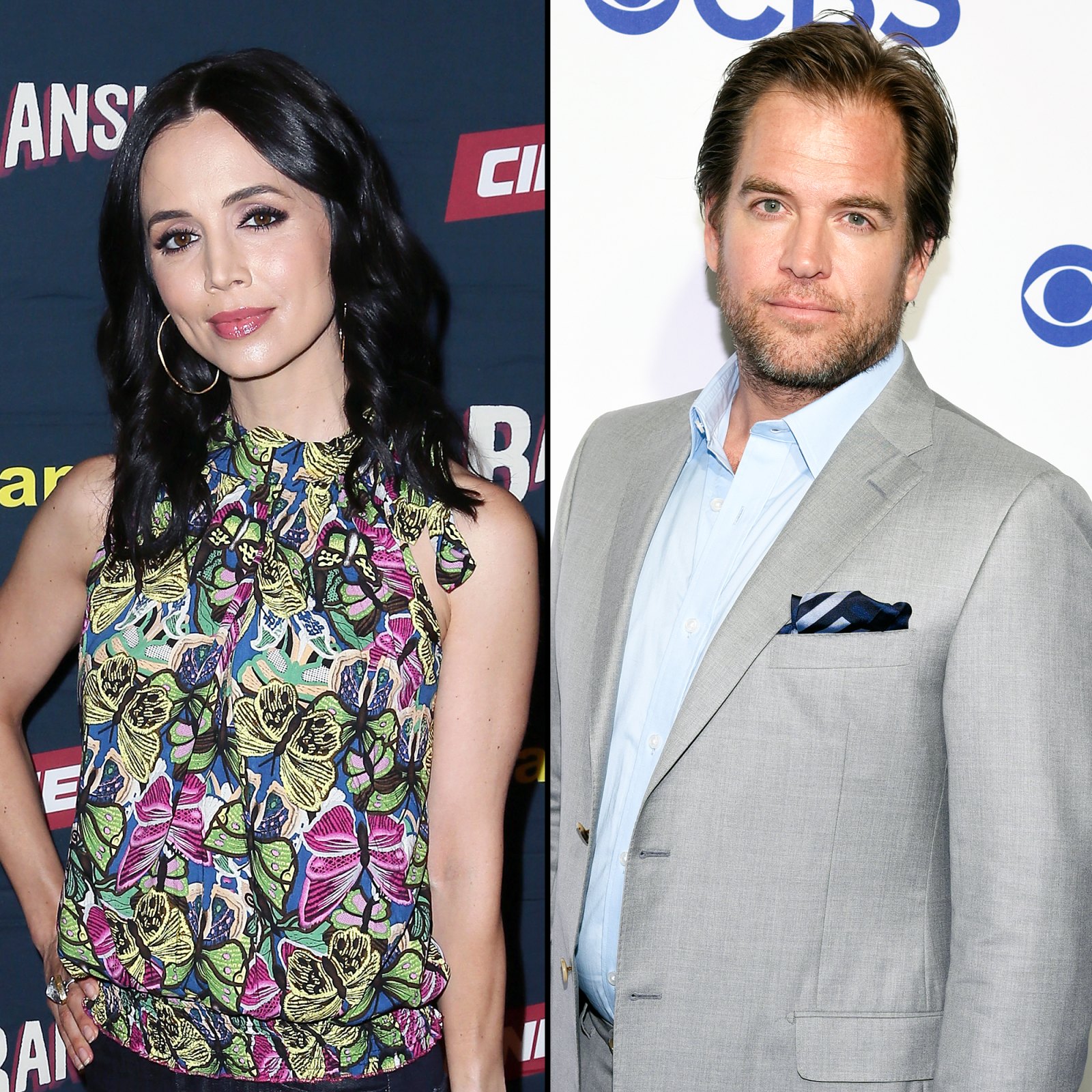 Michael Weatherly News - Us Weekly