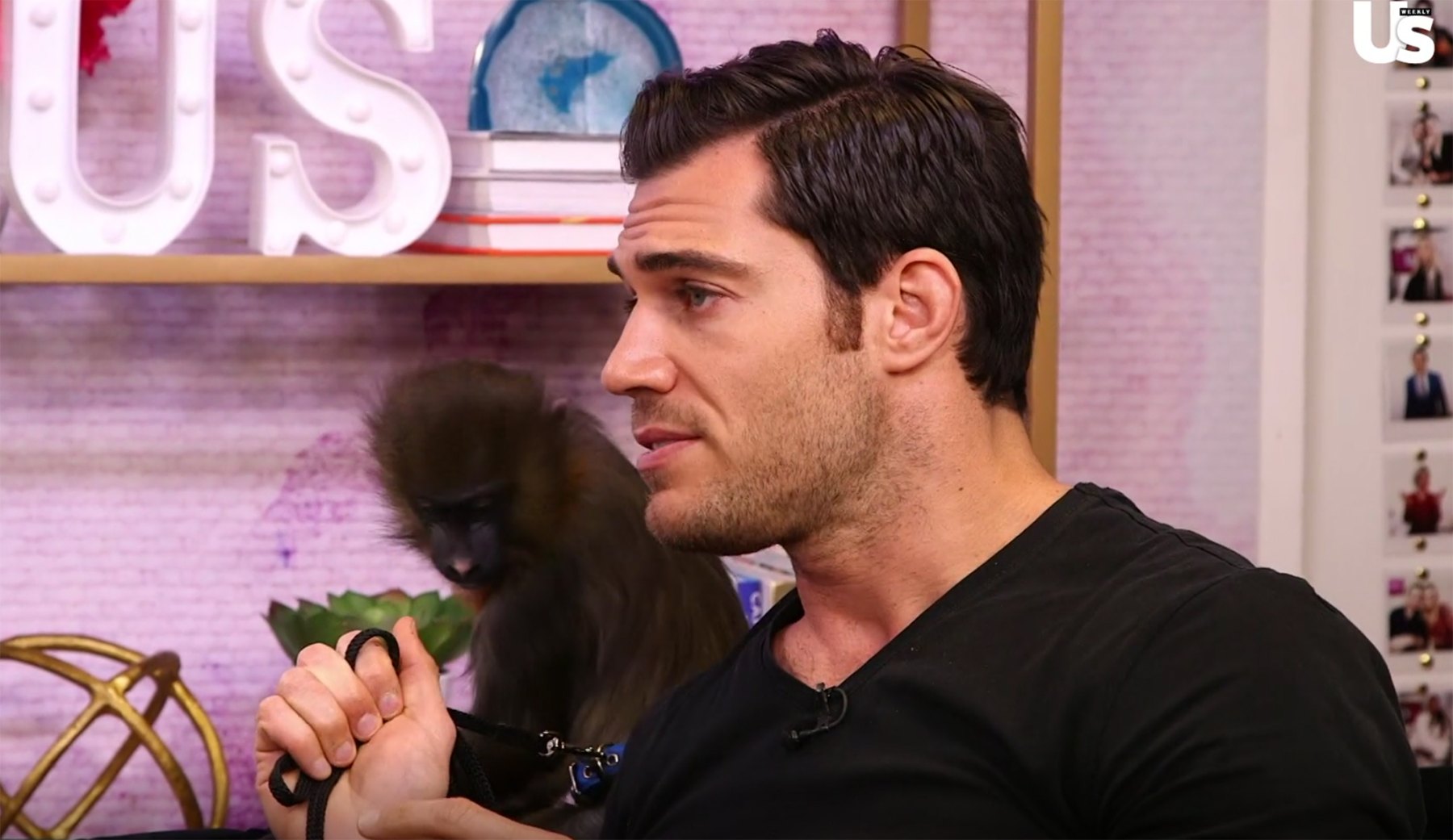 Dr. Evan Antin Talks New Animal Planet Show ‘Evan Goes Wild’ | Us Weekly