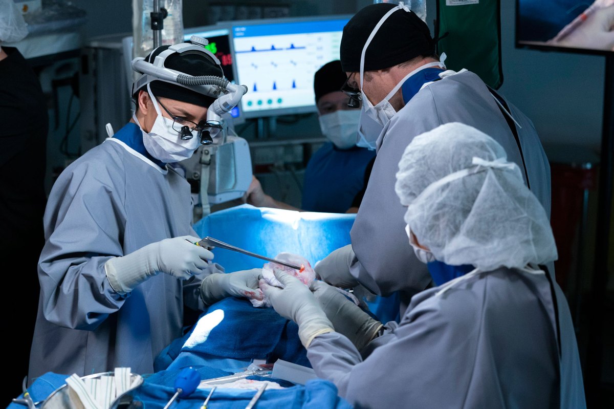 ‘Grey’s Anatomy’ Recap: It’s a Shepherd Family Reunion | Us Weekly