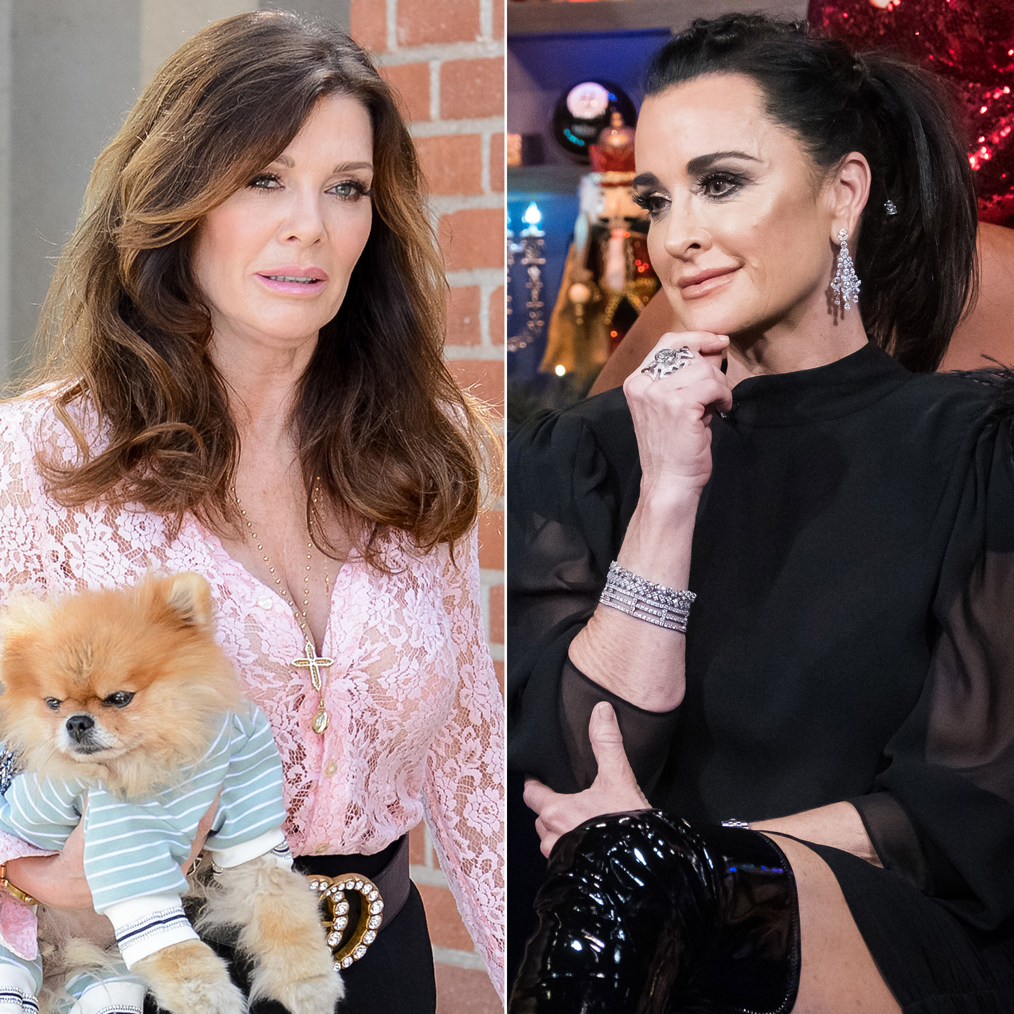 What Happened To Lisa Vanderpumps Pink Dog