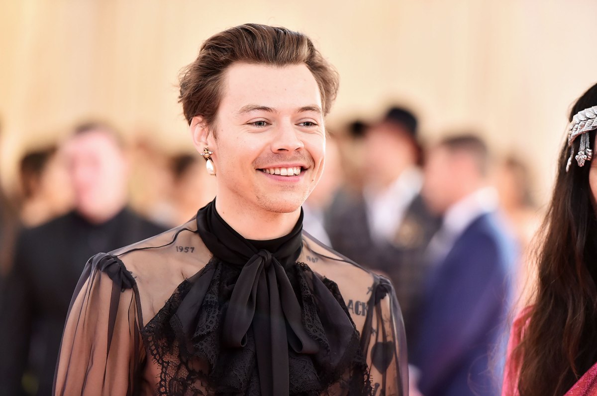 Harry Styles Got His Ear Pierced for Met Gala 2019: Details | Us Weekly