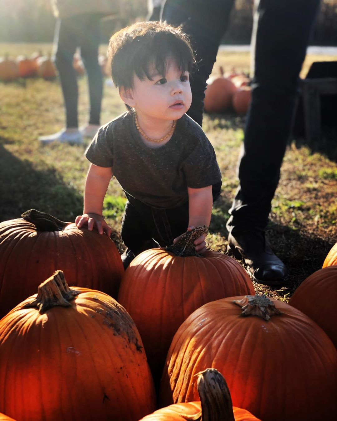 Celebrity Families Visiting Pumpkin Patches in Fall 2019: Pics | Us Weekly