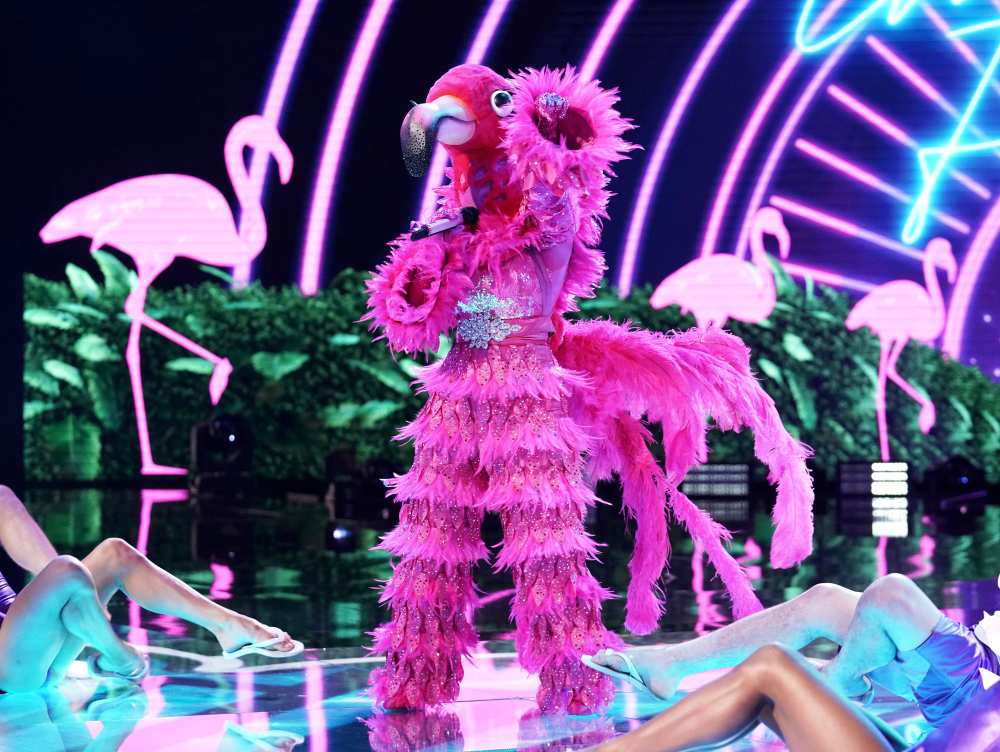 ‘The Masked Singer’: Panda's Identity Revealed, Plus More Clues! | Us ...