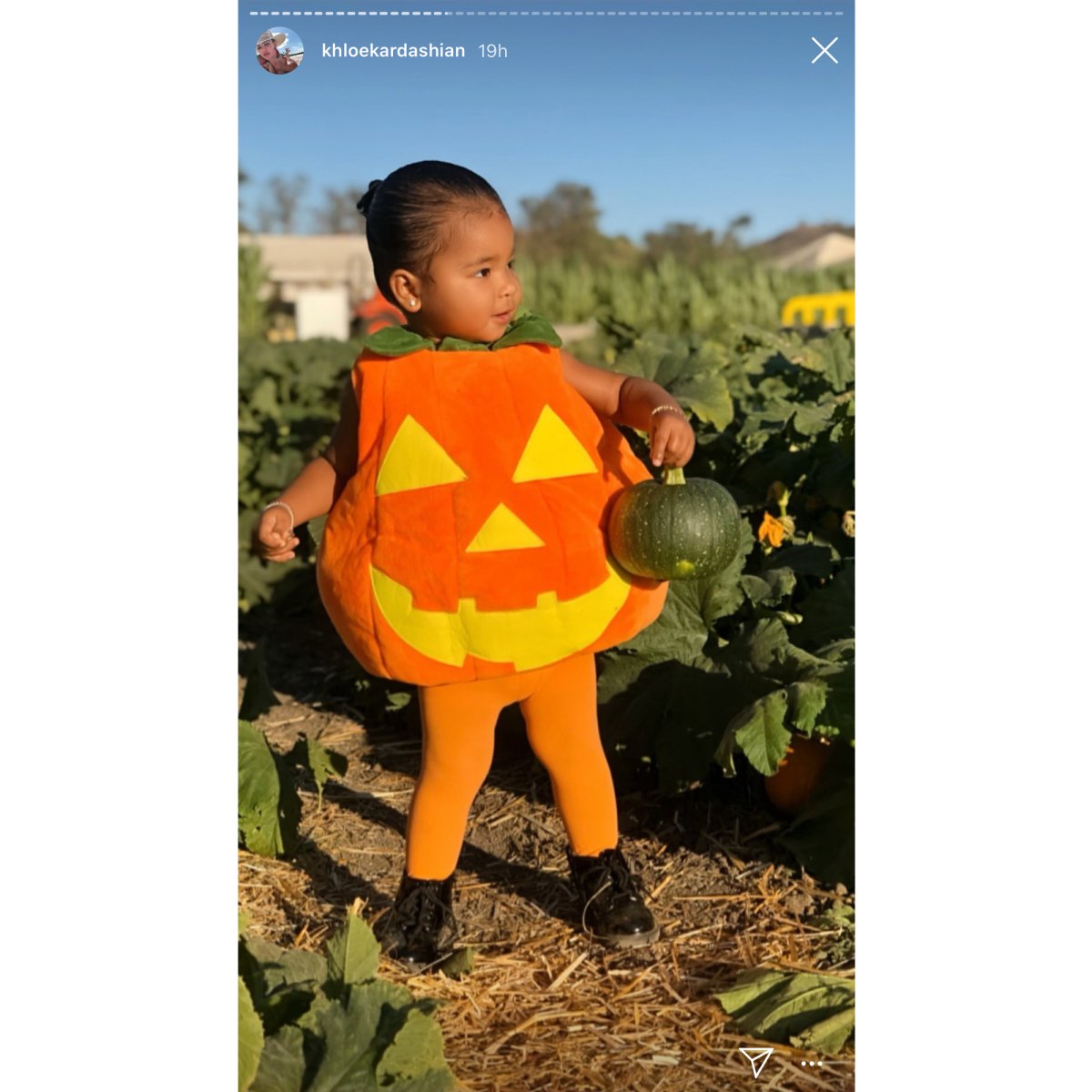 Celebrity Families Visiting Pumpkin Patches in Fall 2019: Pics | Us Weekly
