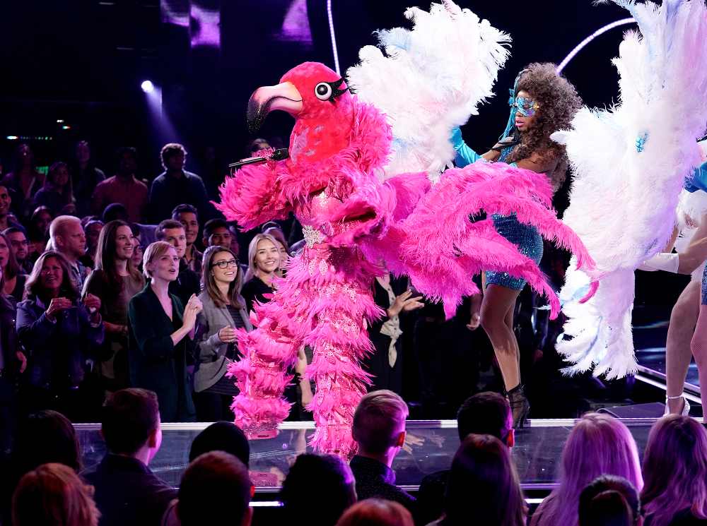 'The Masked Singer’ Reveals Flower's Identity, Plus More Clues! | Us Weekly
