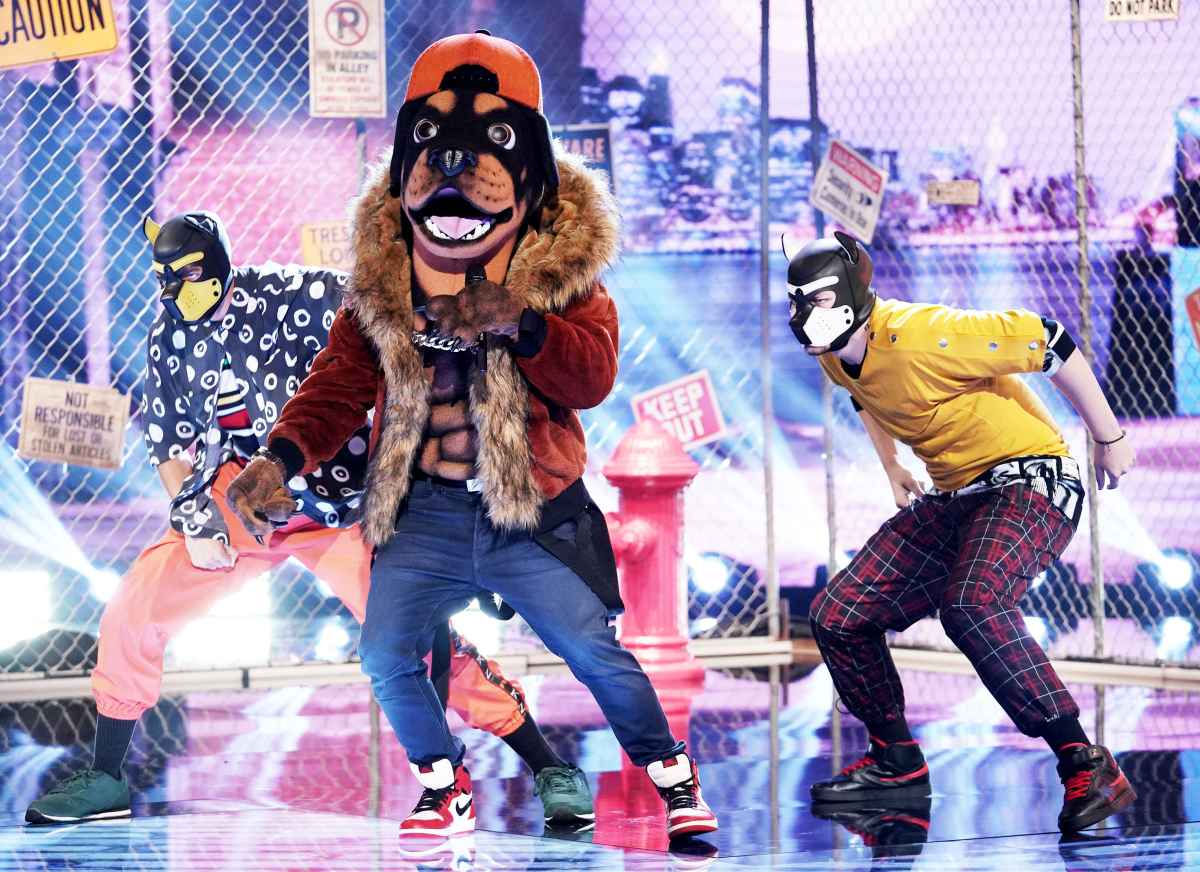 'The Masked Singer' Reveals Penguin, Black Widow's Identity
