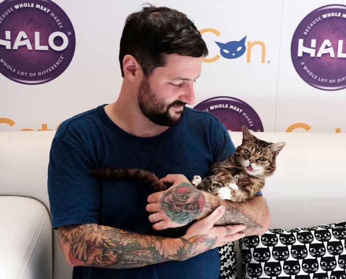 Lil Bub Dead: Internet Cat Dies at 8 After Bone Infection | Us Weekly