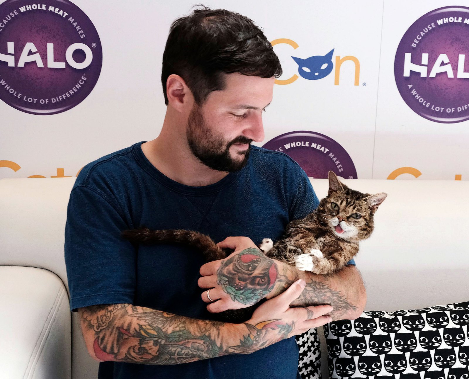 Lil Bub Dead: Internet Cat Dies at 8 After Bone Infection | Us Weekly
