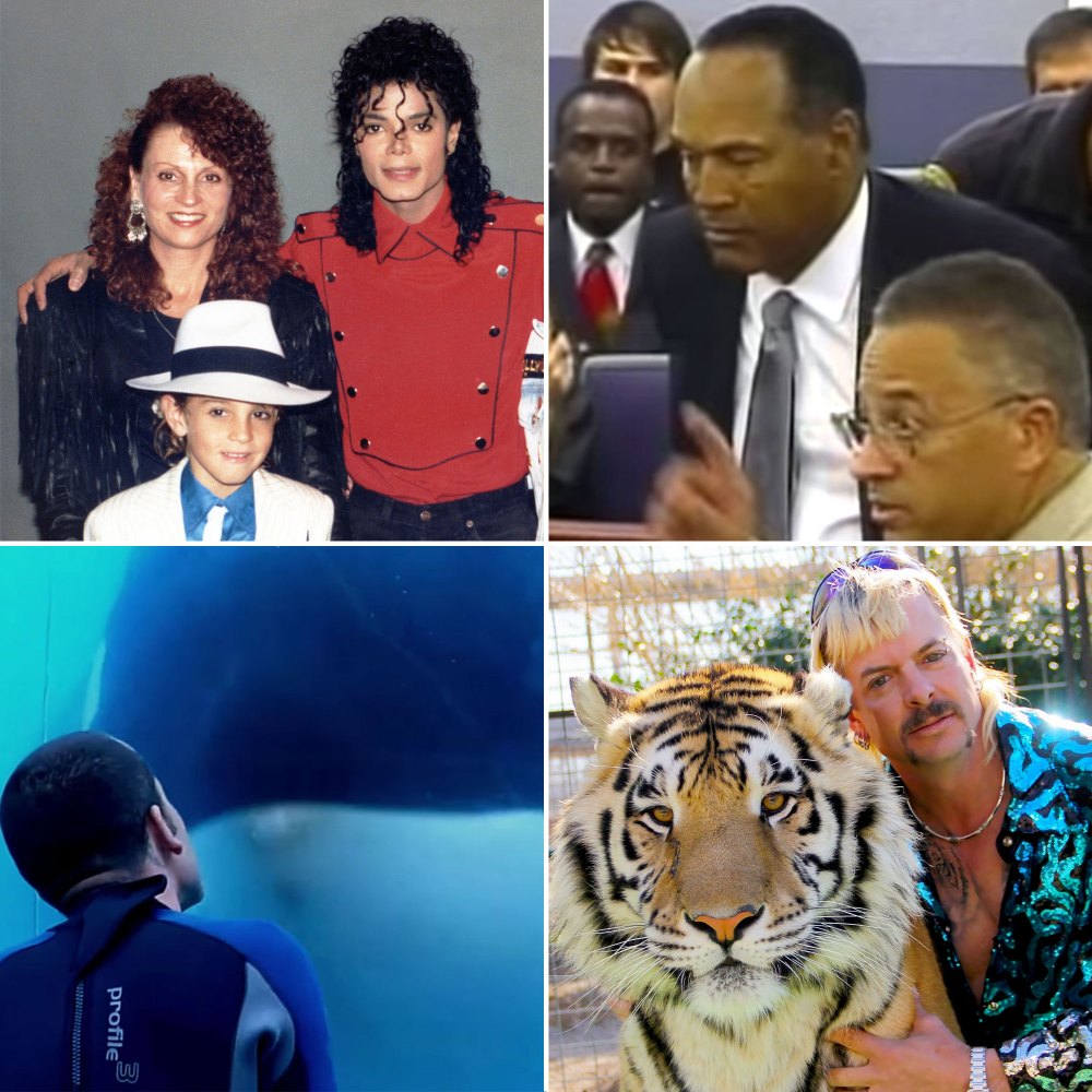 14 Documentaries to Stream if You Loved 'Tiger King'