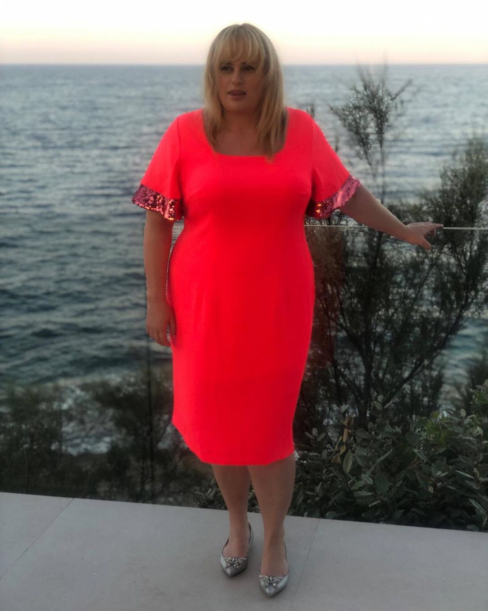 Rebel Wilson's Transformation Through the Years: Photos
