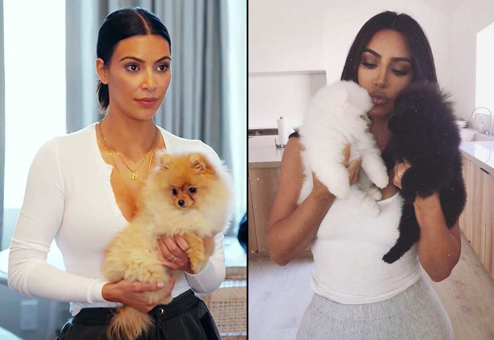 Celebrities Who Have Pets With Food-Inspired Names: Pics | Us Weekly