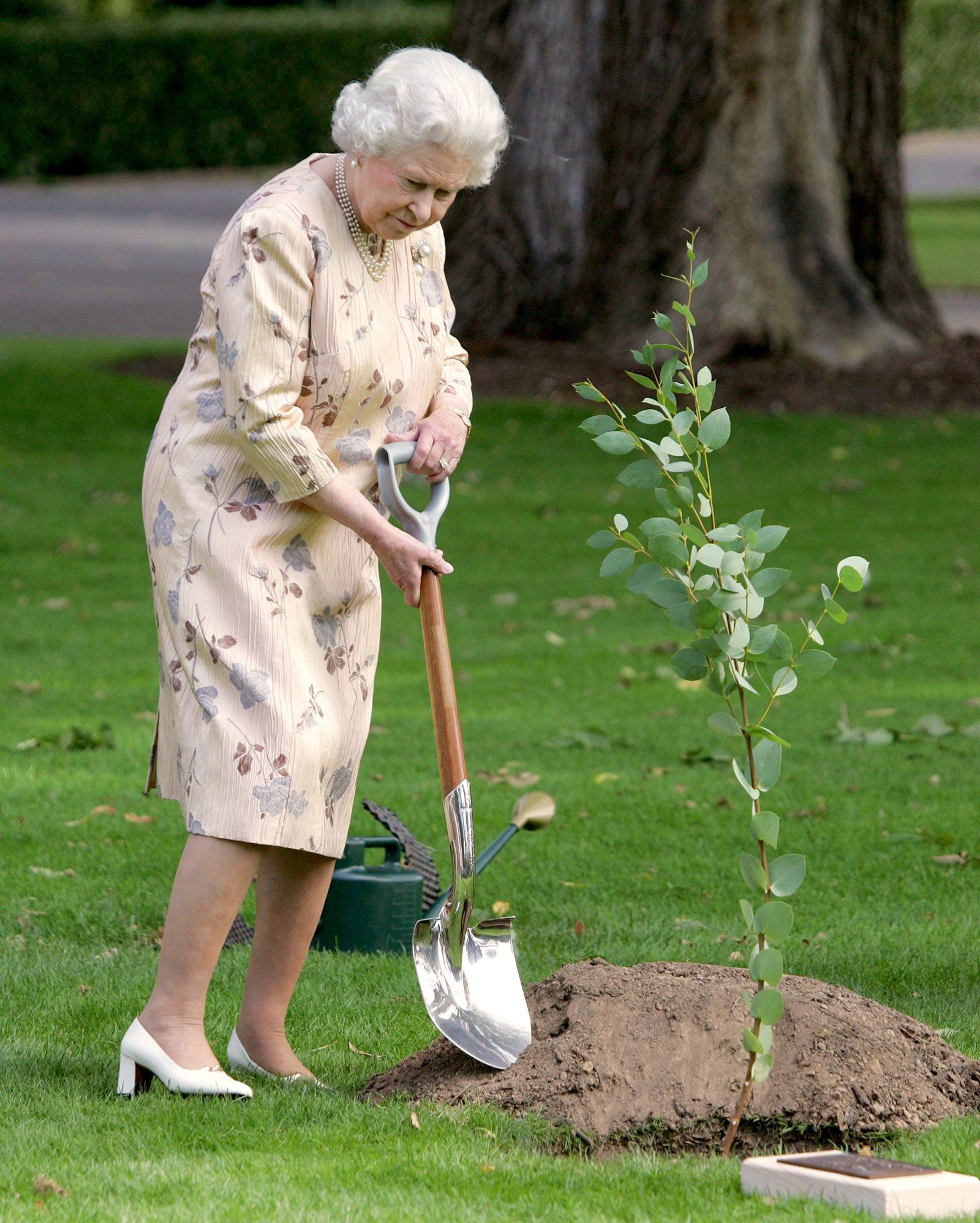 Queen Elizabeth II: Just Like Us! | Us Weekly