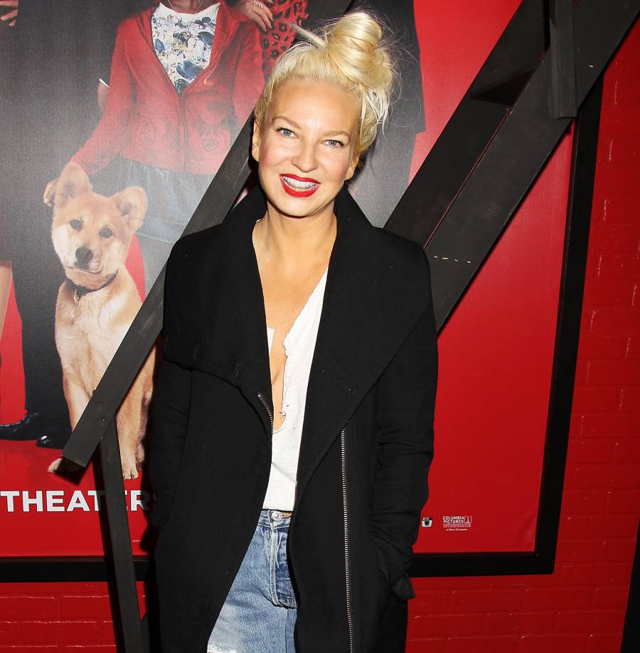 Sia Opens Up About Feeling 'Really Safe' With the Kardashians | Us Weekly