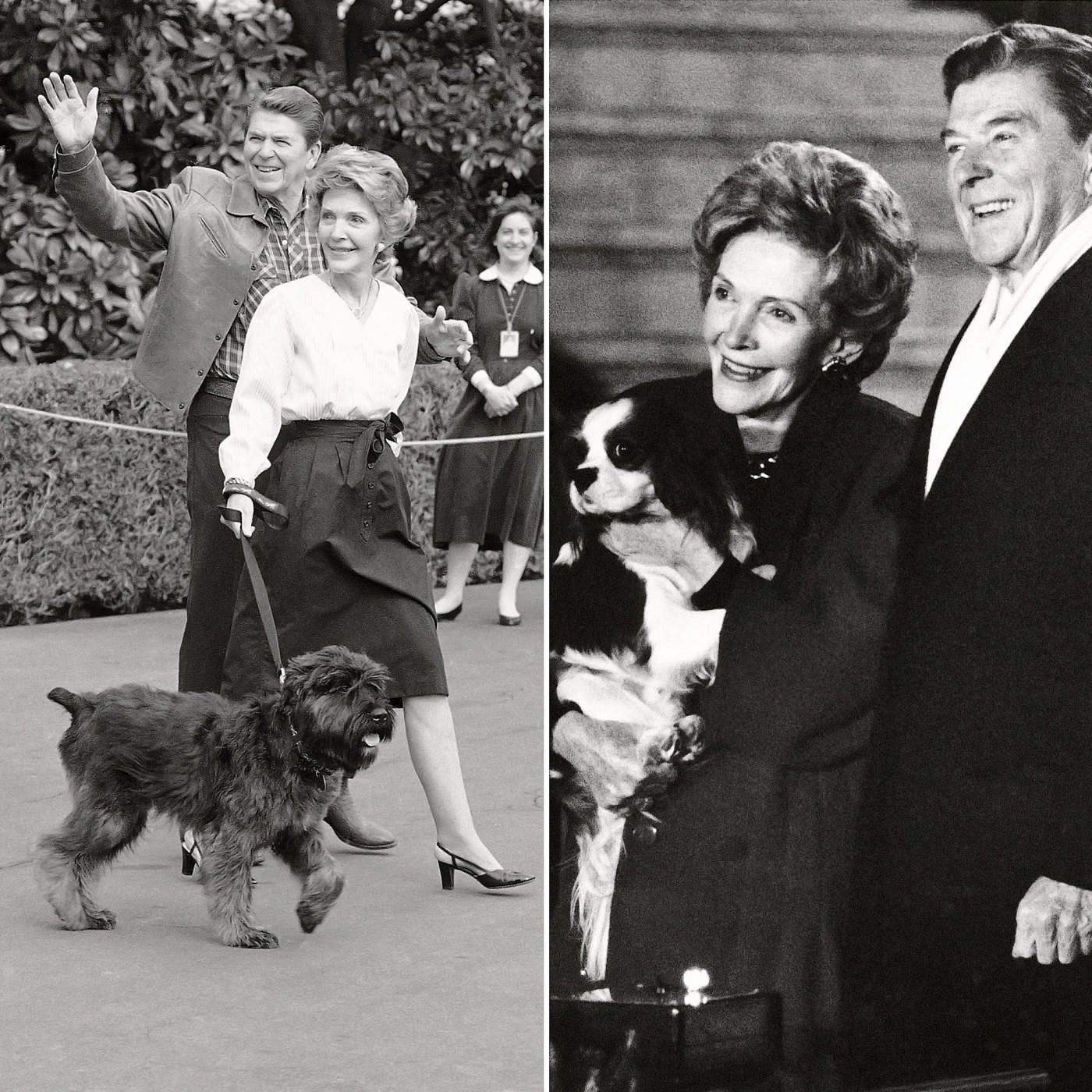 Pets in the White House Through the Years | Us Weekly
