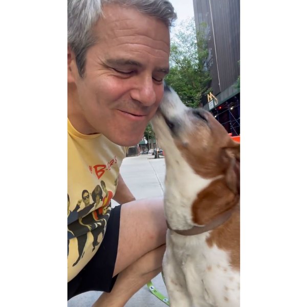 Andy Cohen Reunites With Dog Wacha 1 Year After Rehoming | Us Weekly