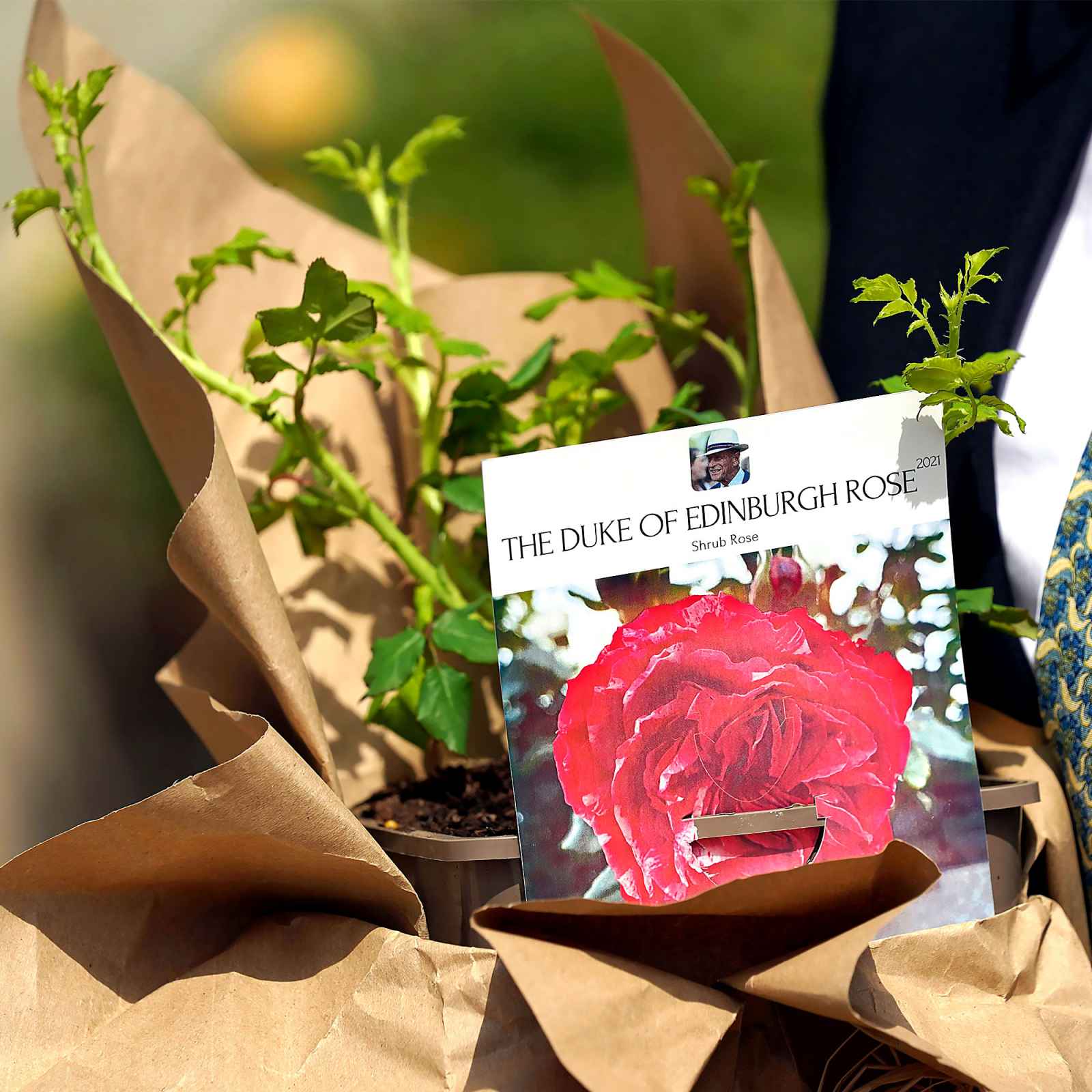 Queen Elizabeth II Receives New Rose Named for Prince Philip | Us Weekly