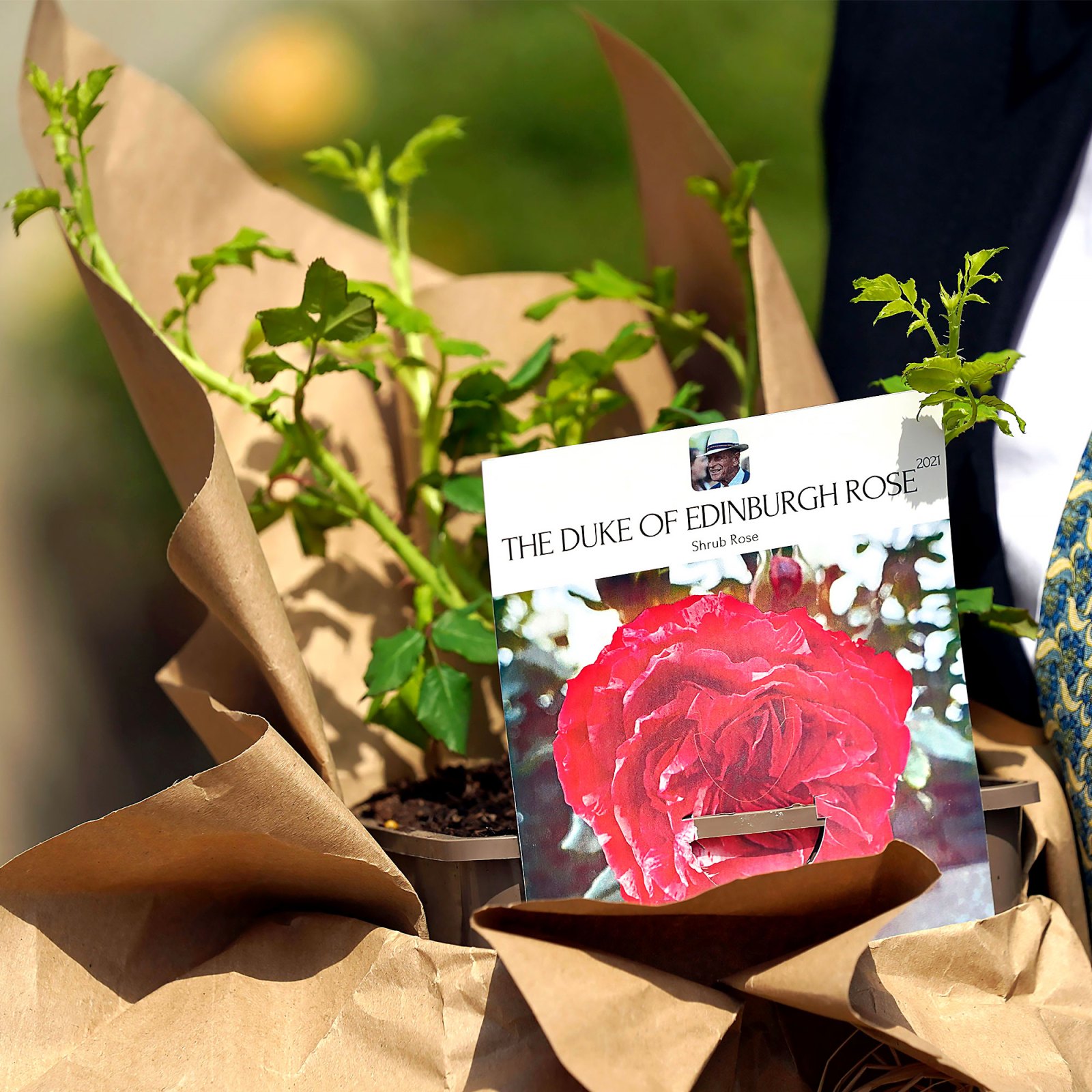 Queen Elizabeth II Receives New Rose Named for Prince Philip | Us Weekly