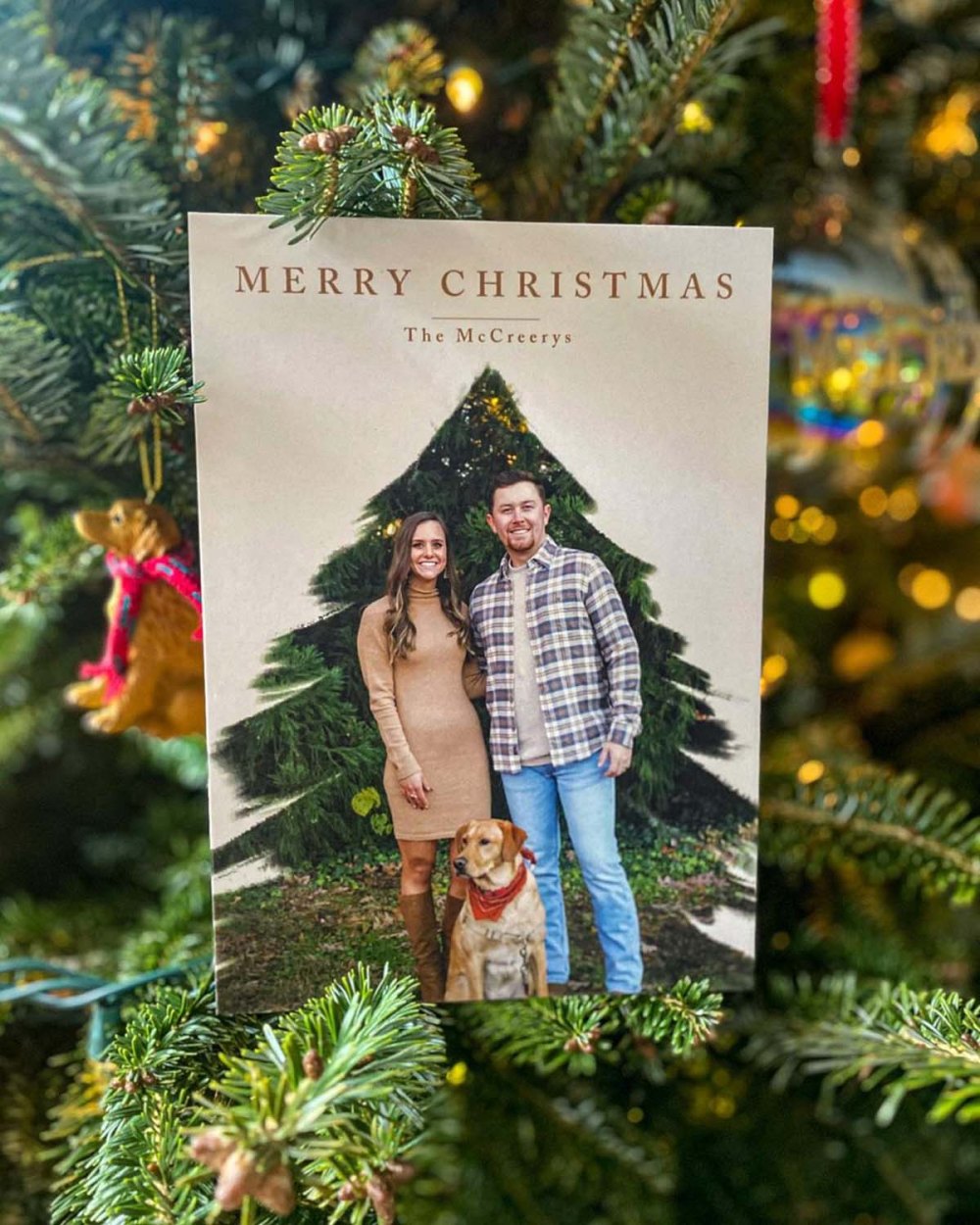 Best Celebrity Holiday Cards of 2021: Photos