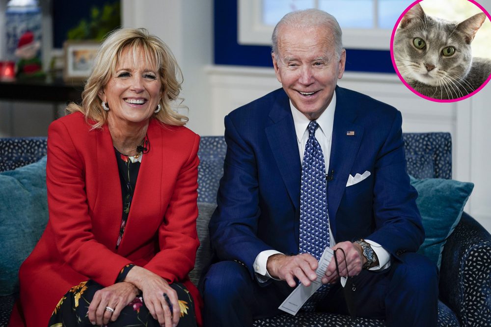 President Sloth Retired Guide Dog Finds New Home With President On