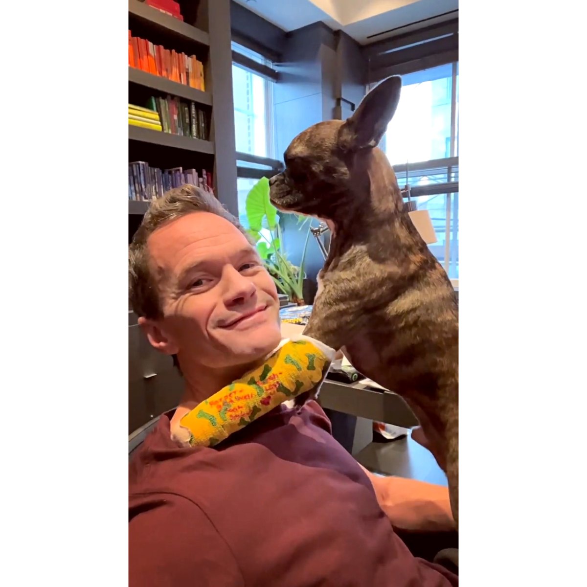 Neil Patrick Harris Coos Over Dog Spike's Broken Toe | Us Weekly