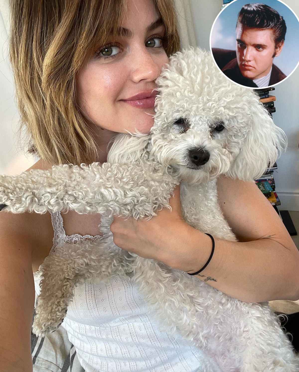 Celebrity Pets 2022