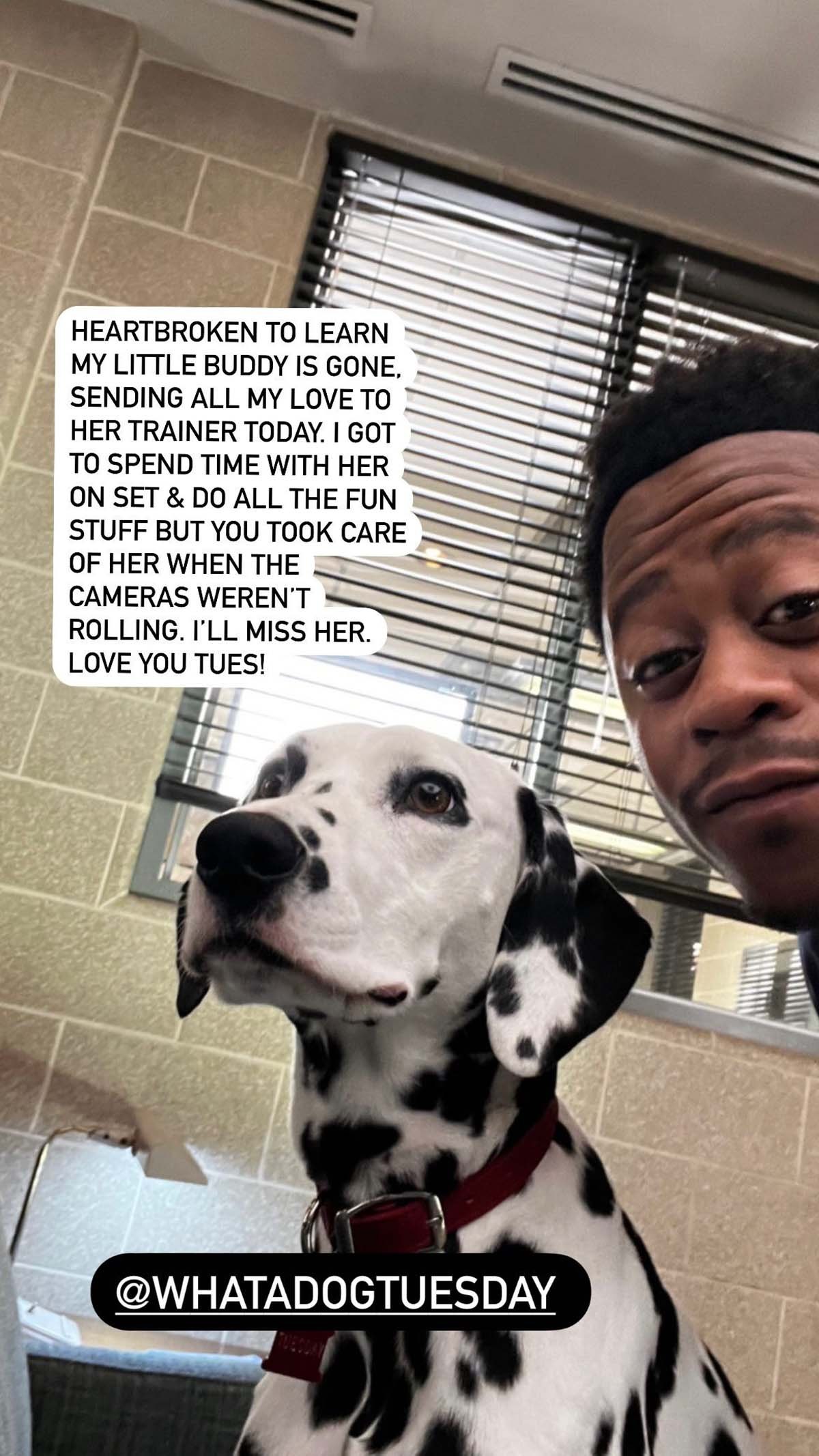‘Chicago Fire’ Dalmatian Named Tuesday Dies Ahead of Season 10 Finale ...