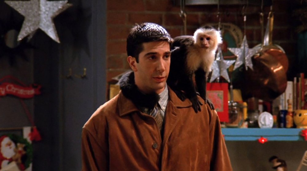 TV Shows' Beloved Pets Through the Years: Photos | Us Weekly