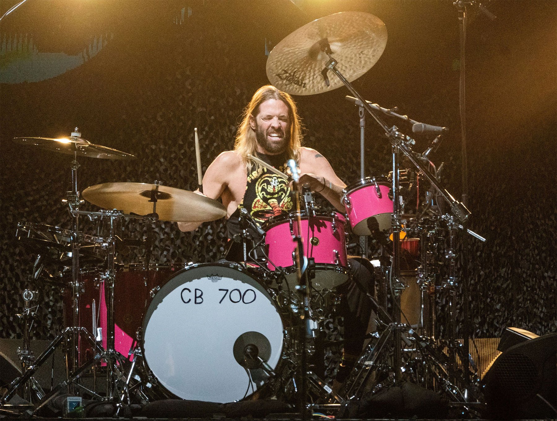 Dave Grohl News - Us Weekly