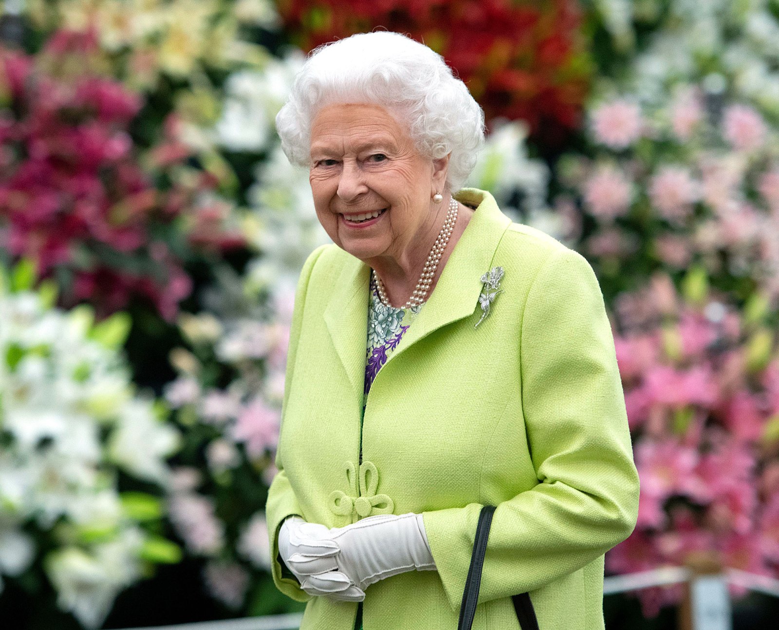 Spider Spotted on Queen Elizabeth II's Casket: Best Reactions | Us Weekly