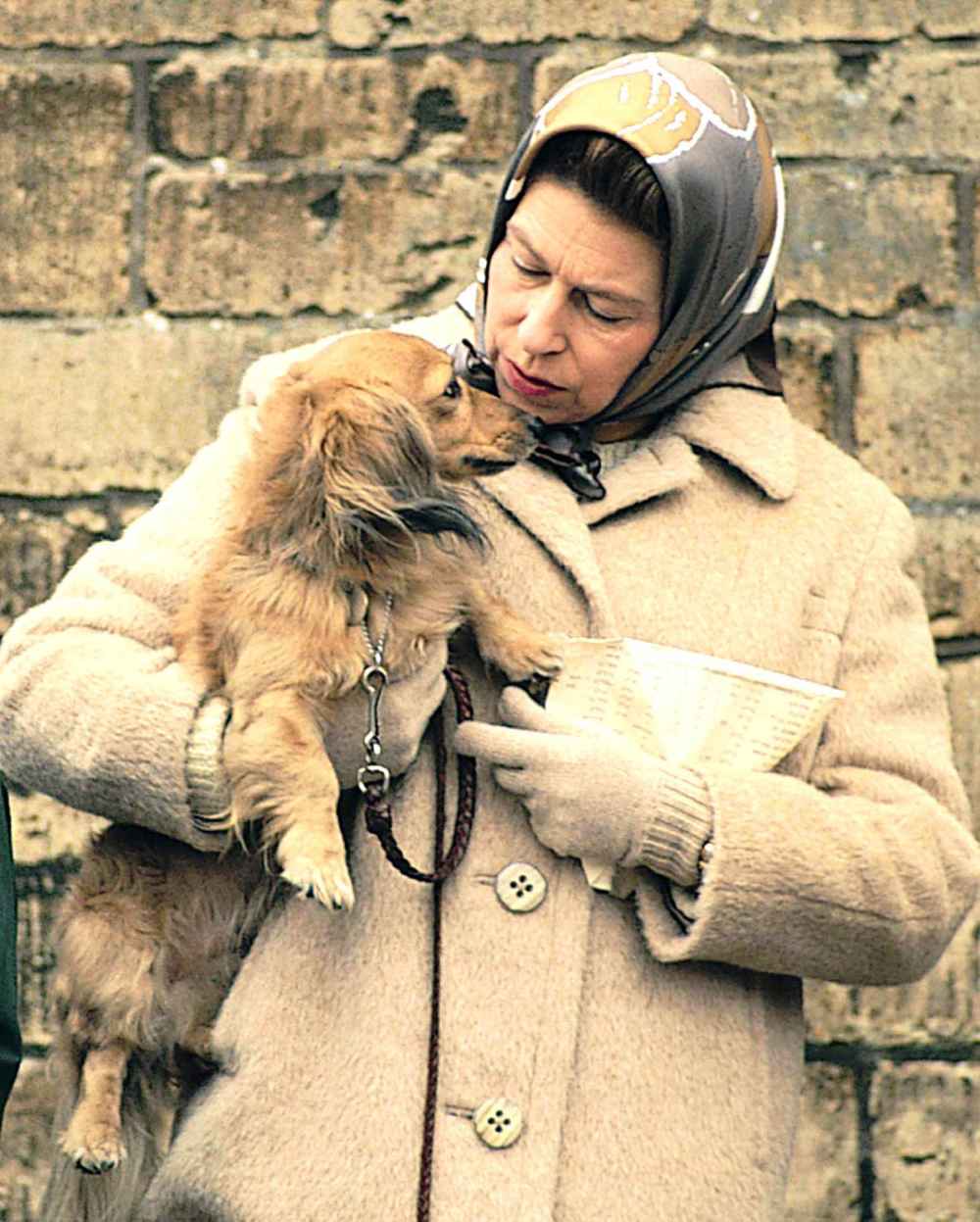 Queen Elizabeth II’s Corgis: What Their Life Is Like | Us Weekly