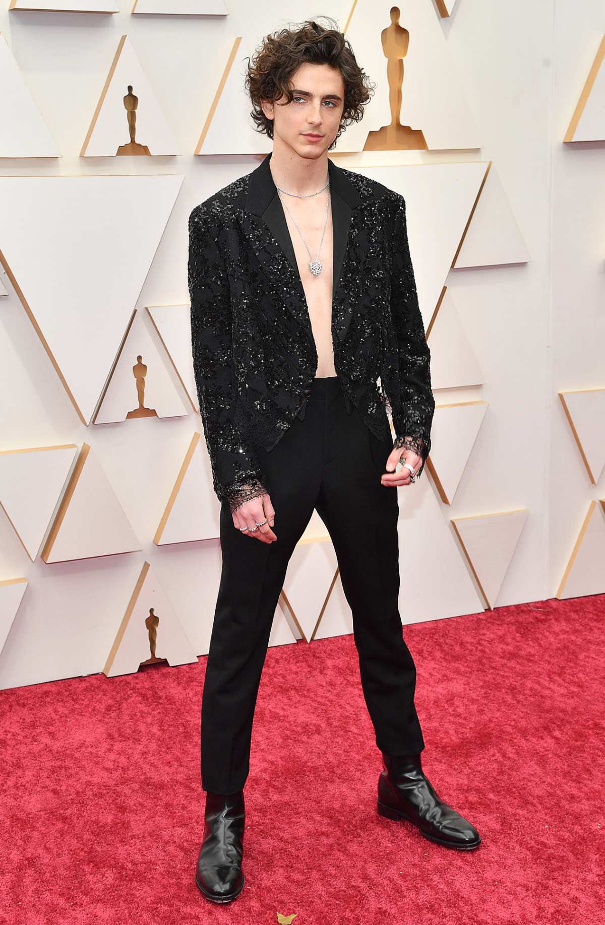 Timothee Chalamet’s Best Red Carpet Fashion: Pics