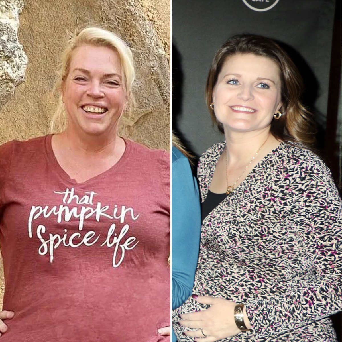Do Sister Wives’ Meri Brown, Janelle, Christine, Robyn Get Along?