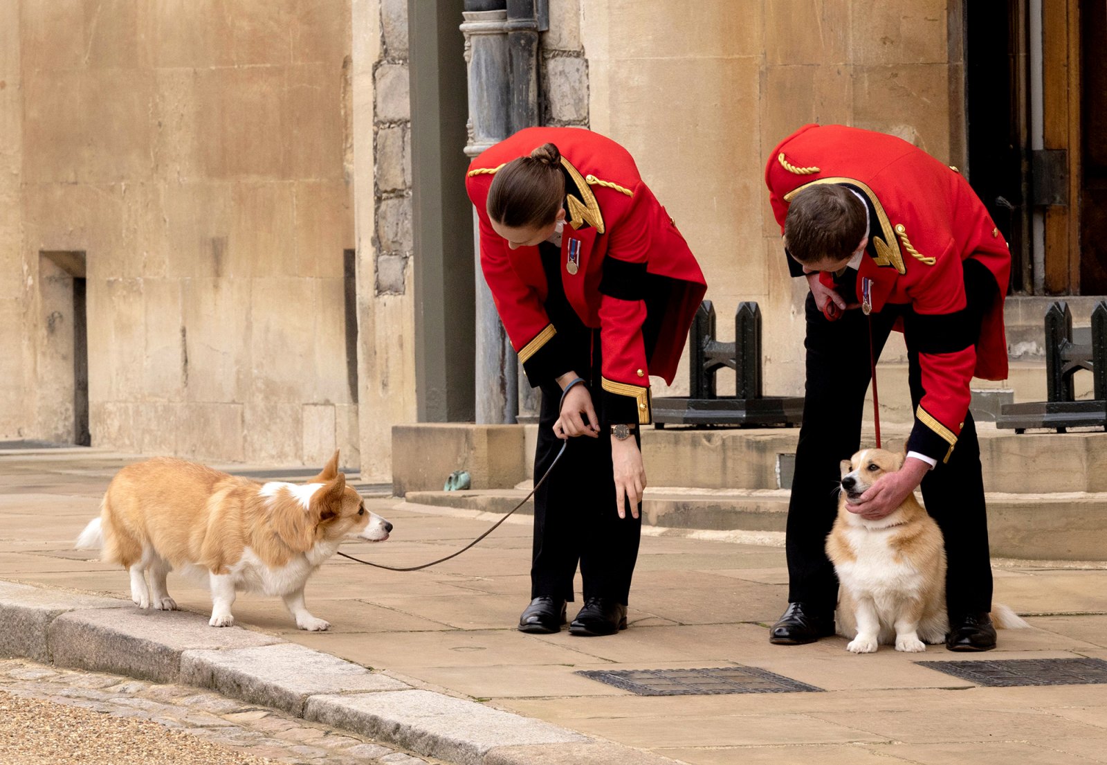 Queen Elizabeth II: Sarah Ferguson Gives Update on 2 Corgi’s | Us Weekly