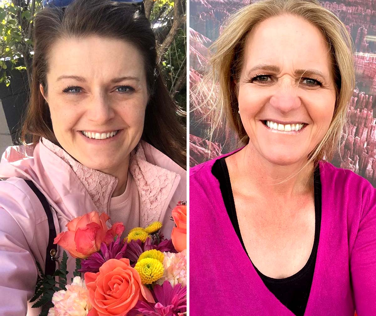 Sister Wives' Robyn: Christine Is Lying About Kody Drama Timeline | Us ...