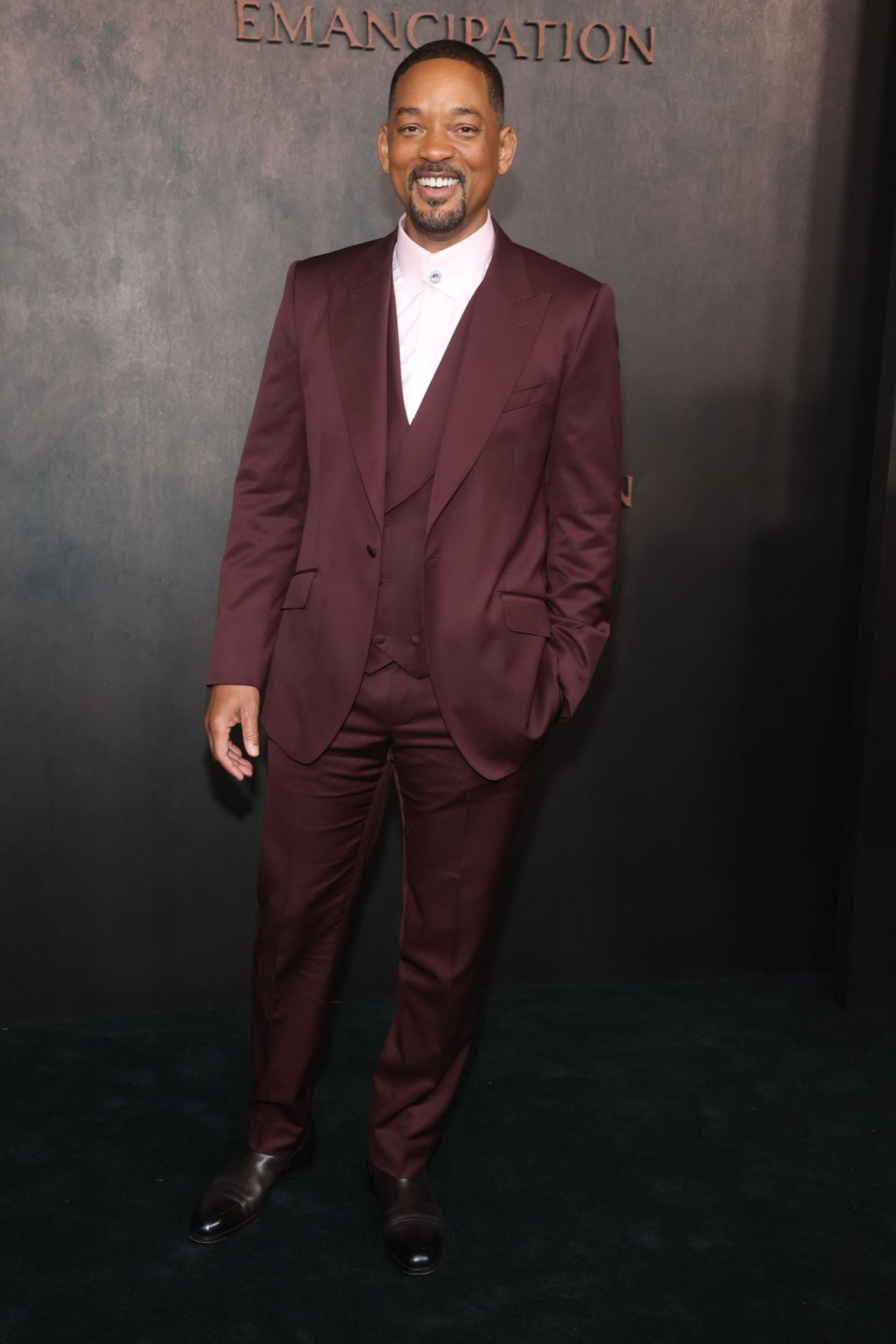 Will Smith, Jada Pinkett Smith Walk 1st Red Carpet Post-Oscars: Photos ...
